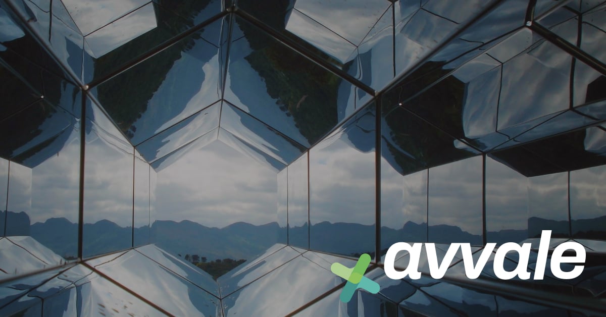 Avvale | Organizzazione